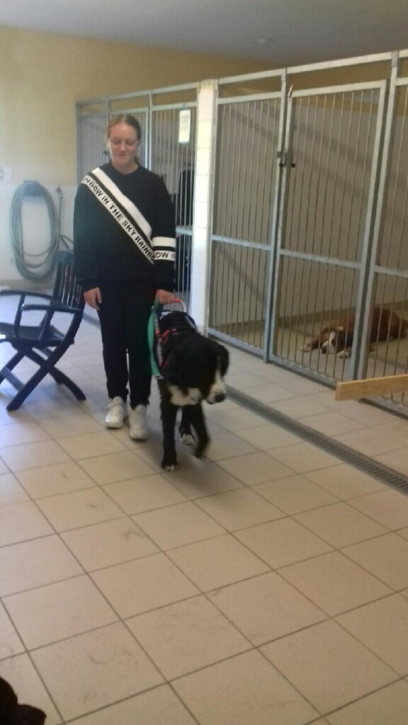 A LA DECOUVERTE DES CHIENS GUIDES - Arc-en-Ciel