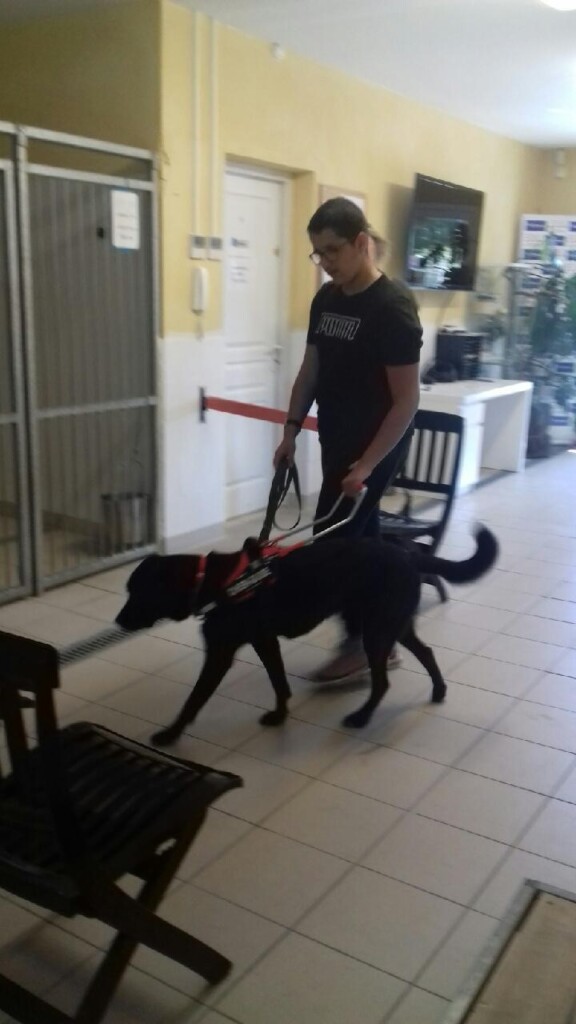 A LA DECOUVERTE DES CHIENS GUIDES - Arc-en-Ciel